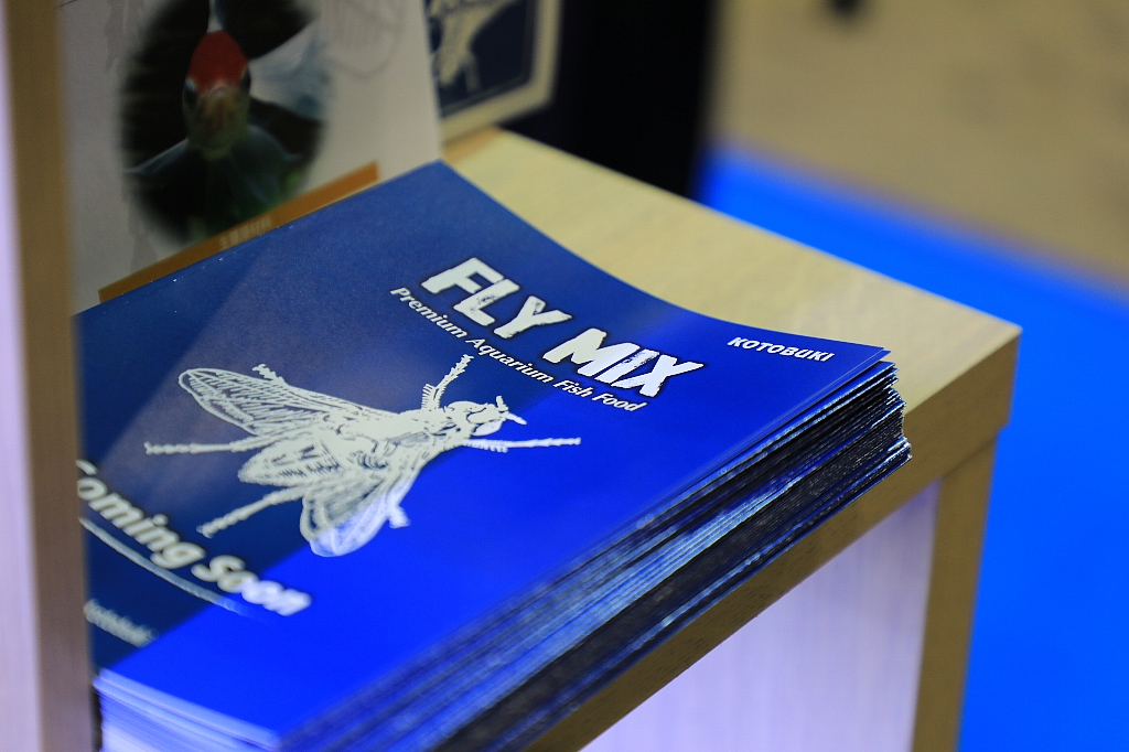 【速報】発売直前！FLY MIXがキミのまちにやってくる☆本日より全国約100店舗のショップで発売カウントダウンキャンペーン | キワメテ！水族館